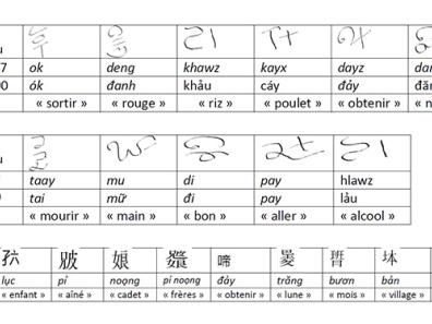 Writing and notation in the Tai-Kadai languages of China and Southeast ...